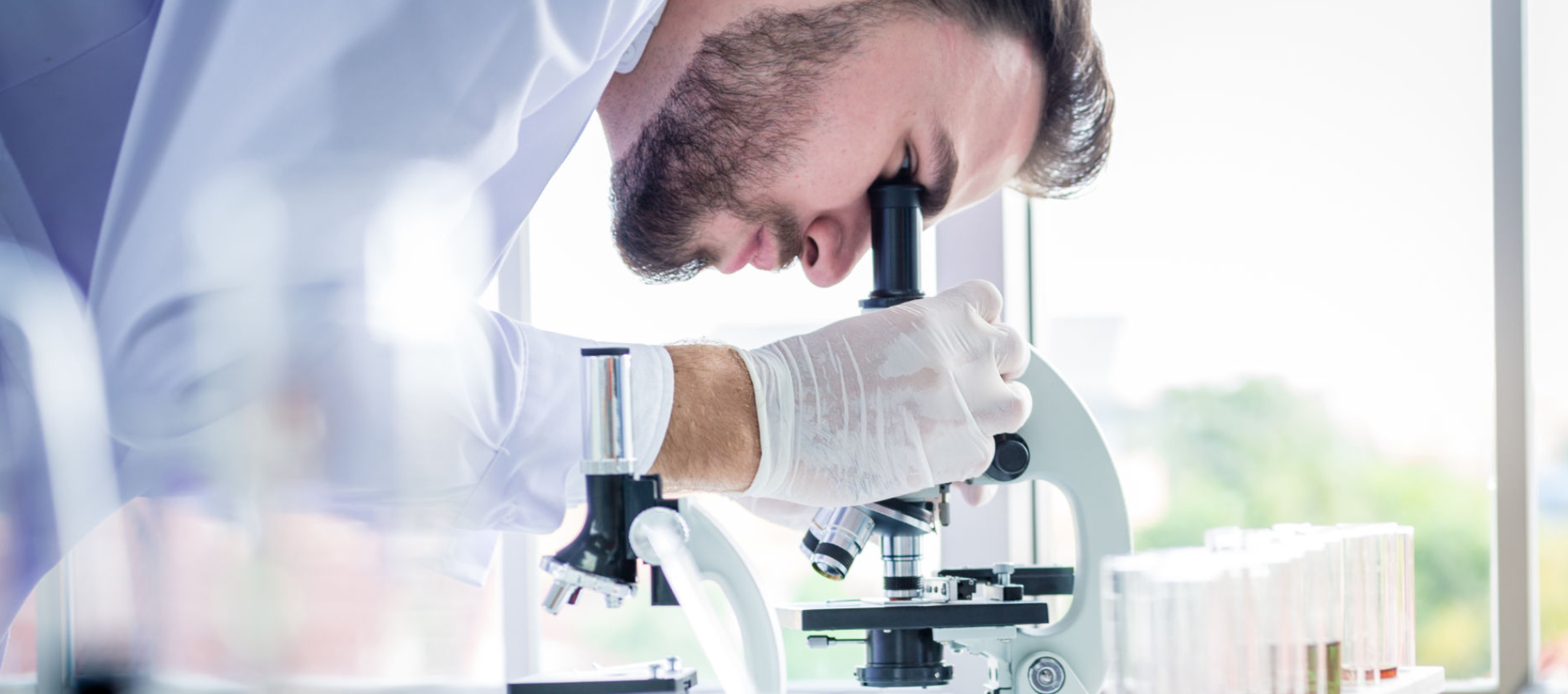 Red Blood Cell Network | nord.digital